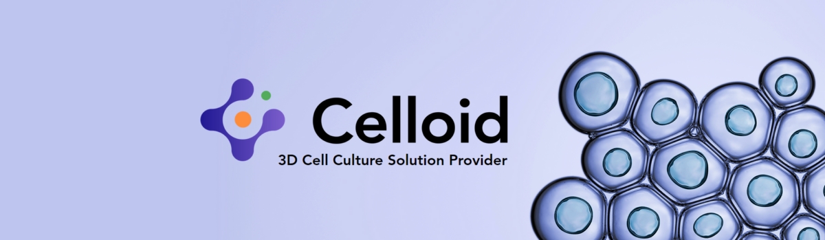 셀로이드 채용 정보 - 넥스트유니콘