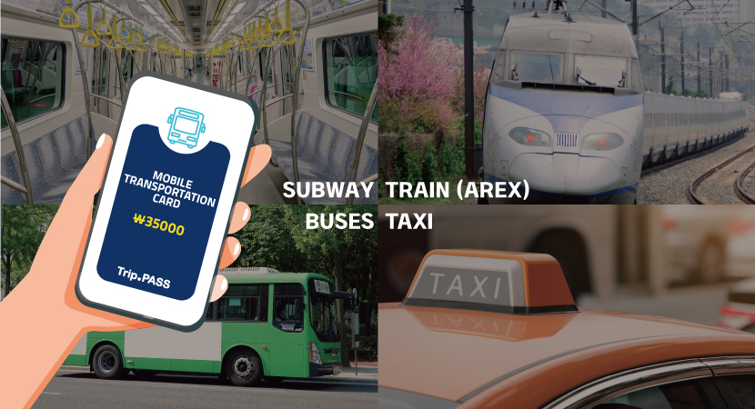 (주)로드시스템(Trip.PASS (트립패스)) 서비스/제품 정보 - 넥스트유니콘